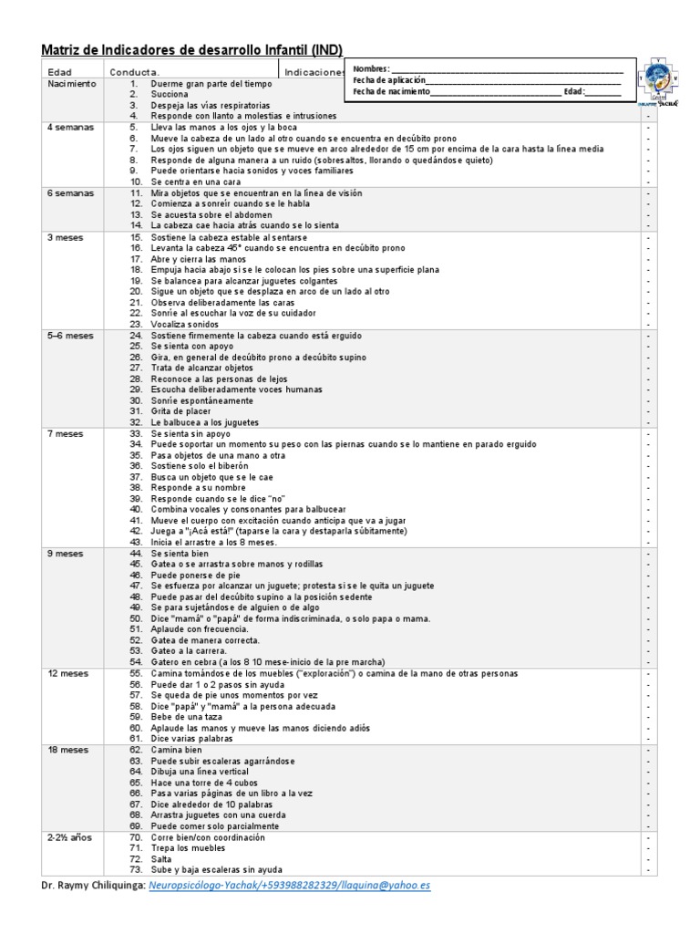 Matriz Indicador de Desarrollo in | PDF