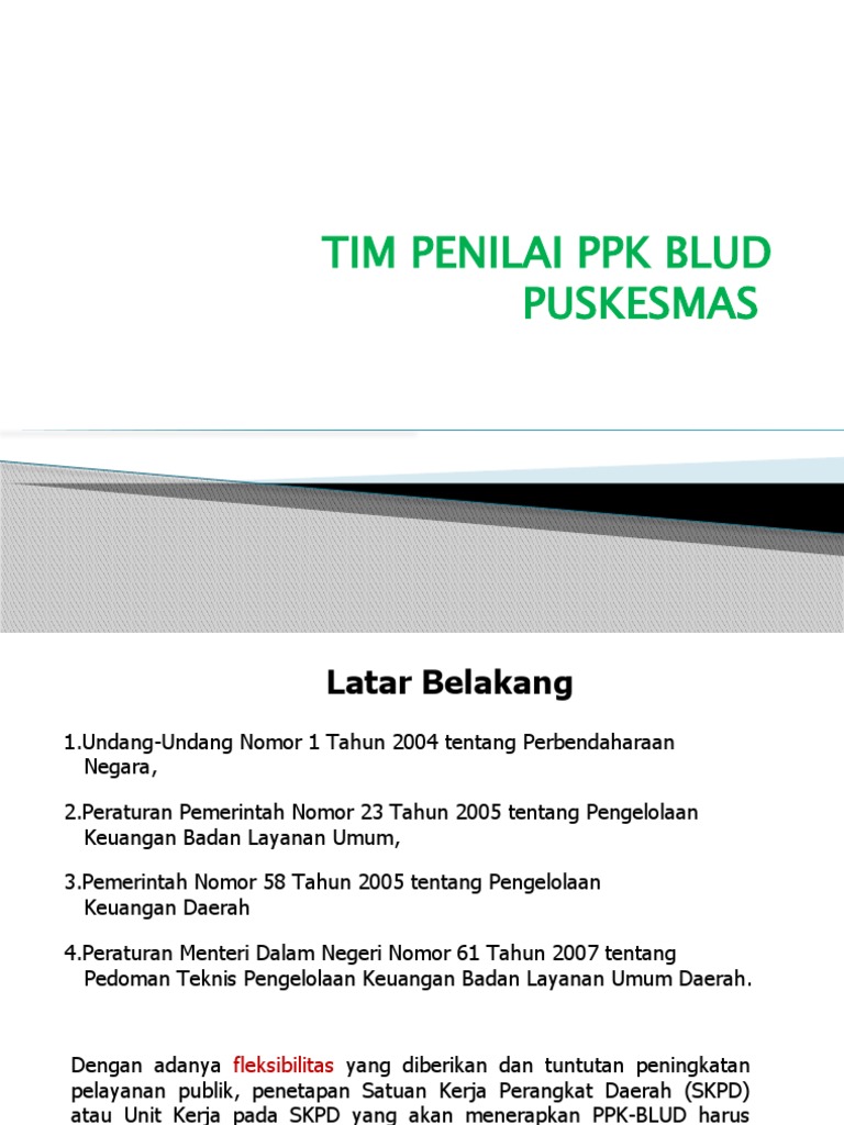 Tim Penilai PPK Blud Puskesmas | PDF