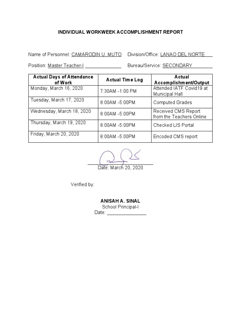 Individual Workweek Accomplishment Report-Muto, Camarodin | PDF