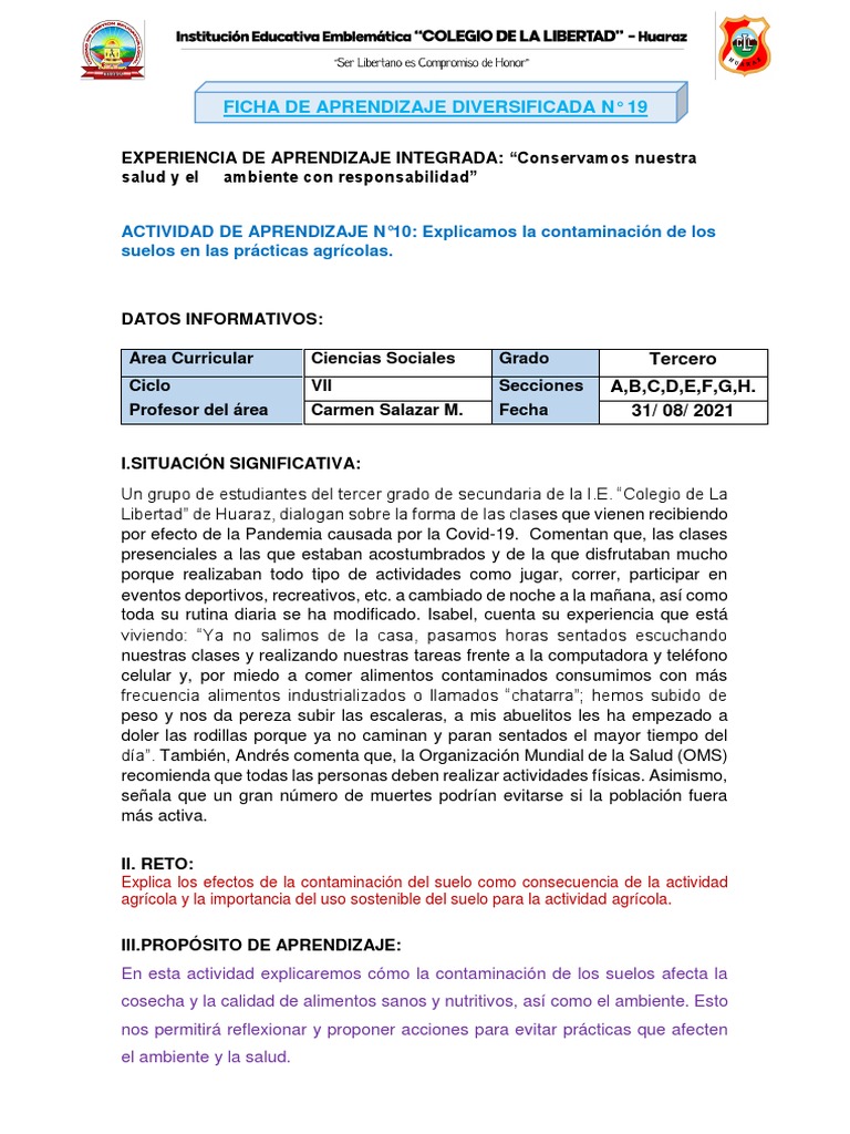Ficha de Aprendizaje - #19-2021 | PDF | Agricultura | Aprendizaje