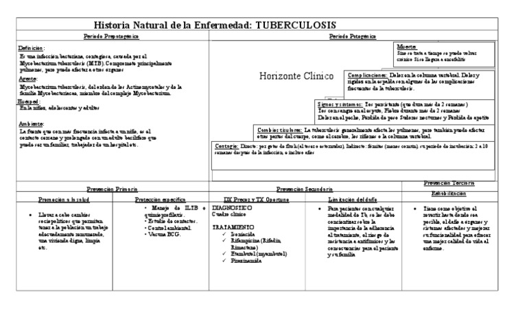 Hne Tuberculosis | PDF | Tuberculosis | Epidemiología
