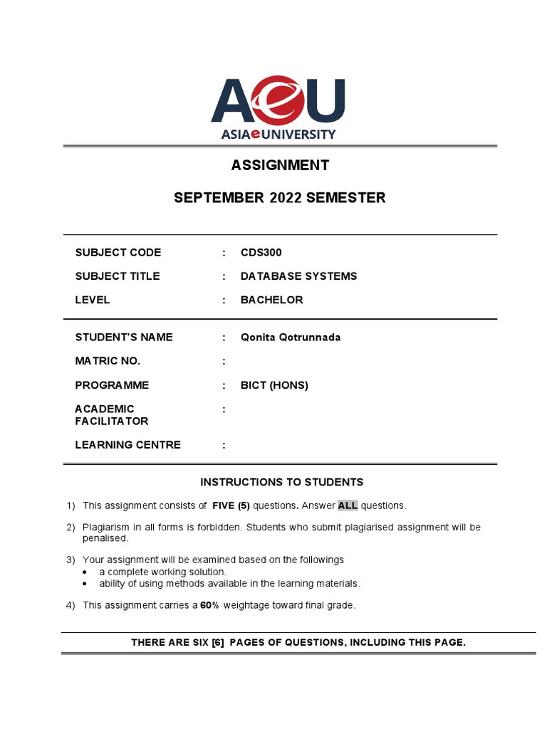 Database Systems Assignment Overview | PDF | Databases | Information Age