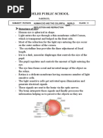 Class10 Human Eye Notes | PDF | Eye | Human Eye