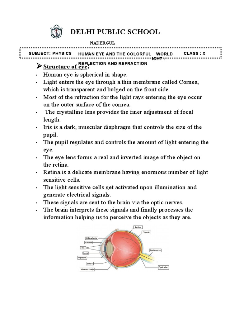 CH 4 Human Eye Notes New | Download Free PDF | Atmosphere Of Earth | Eye