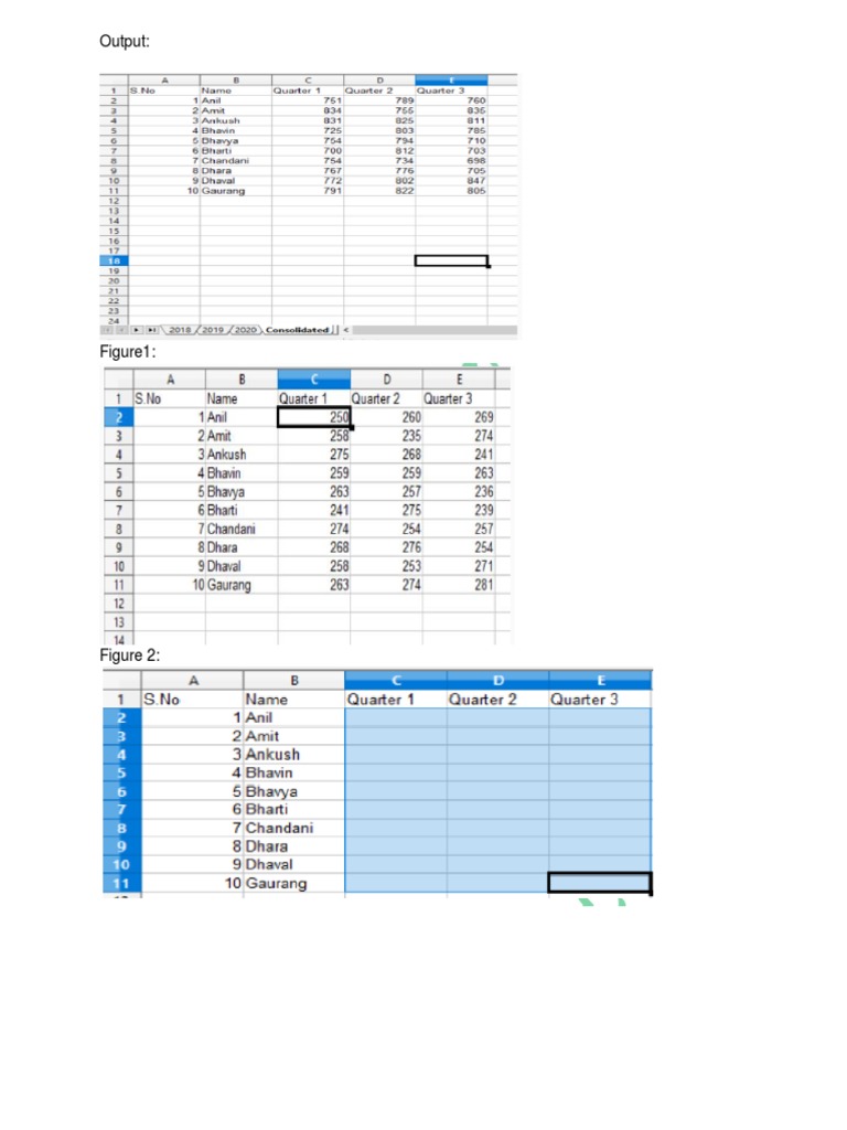 Electronic Spreadsheet Class 10 Guide | PDF