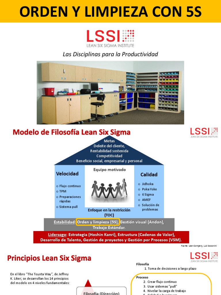 Orden y Limpieza Con 5S | PDF