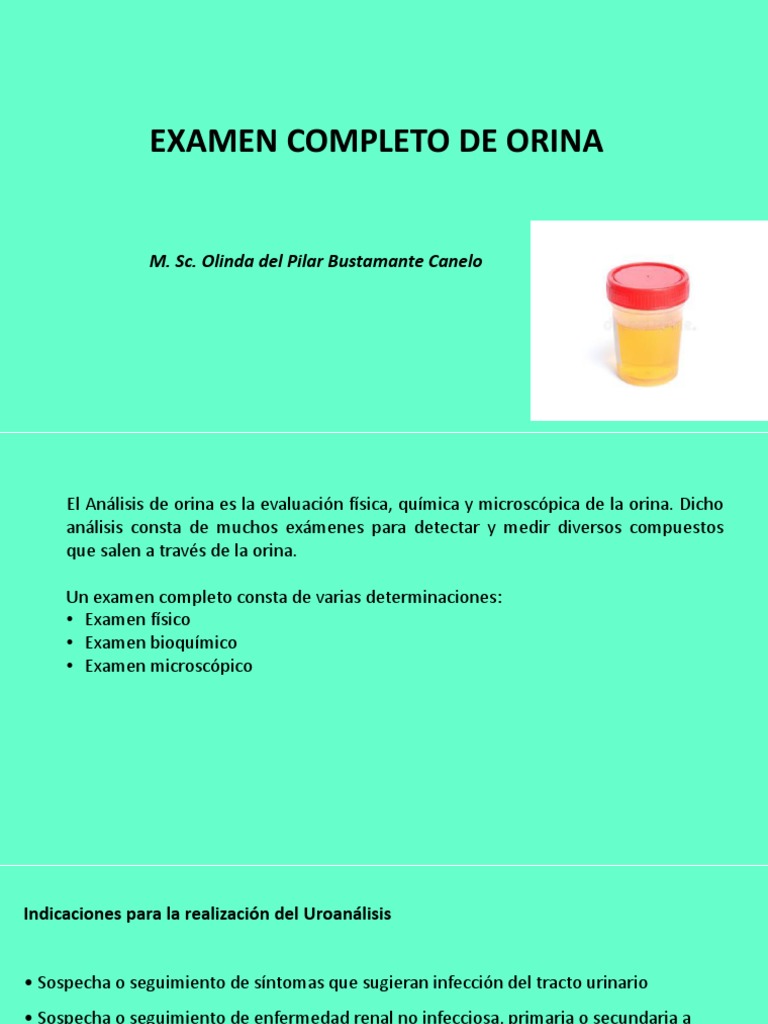 Análisis Completo de Orina: Guía y Métodos | PDF | Enfermedades y ...