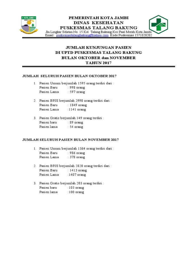 Jumlah Kunjungan Pasien | PDF