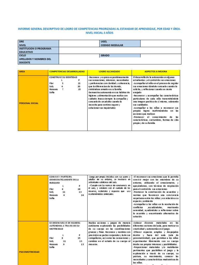 Informe Descriptivo de Logro de Competencias de Aprendizaje Nivel Inicial-3 Años Version Final ...