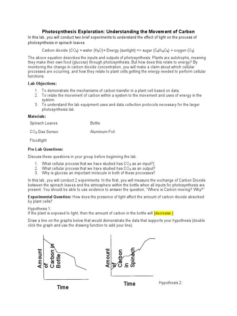Alexa Kirsten Marundan - Photosynthesis Exploration Lab - Understanding ...