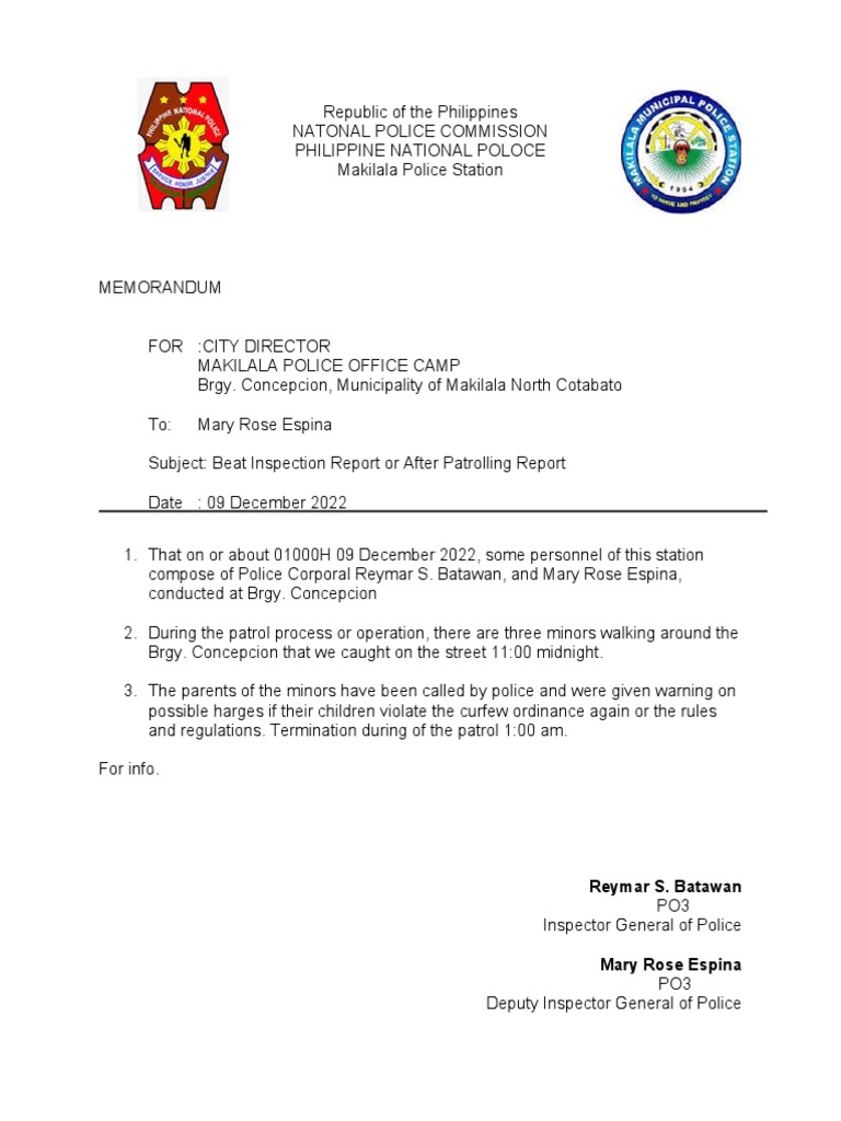 Beat Inspection Report | PDF