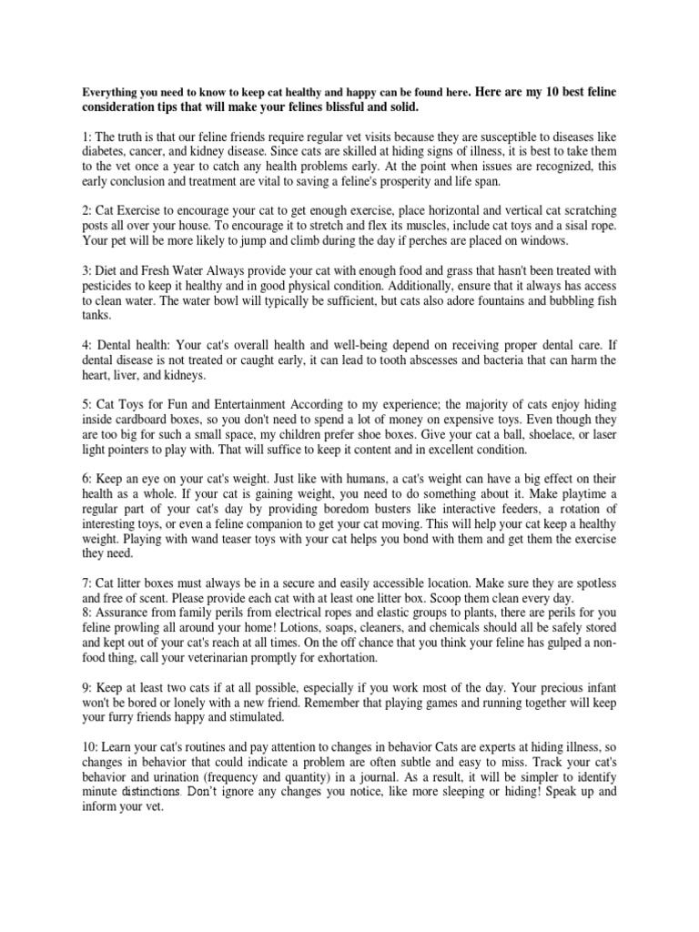 Here Are My 10 Best Feline Consideration Tips That Will Make Your ...