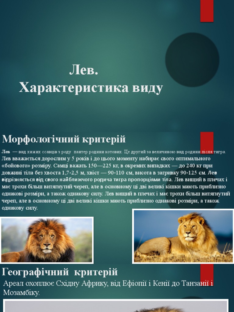 Презентація Microsoft PowerPoint | PDF