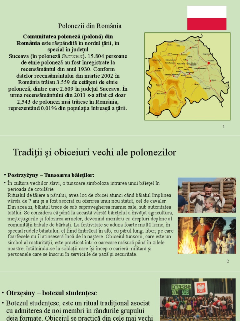 Polonezii Din România | PDF