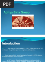 Aditya Birla | Organizational Structure | Sustainability