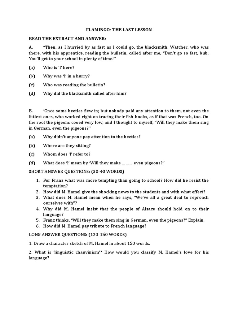 The Last Lesson Worksheet | PDF