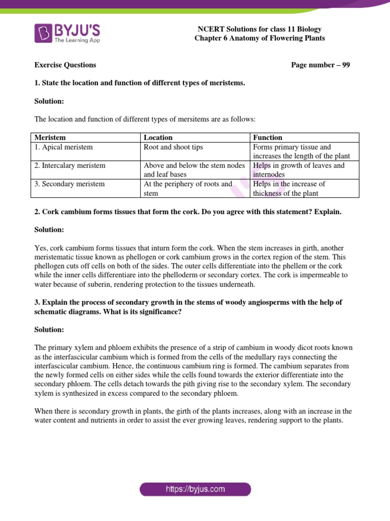 NCERT Solutions For Class 11 Biology Chapter 6 Anatomy of Flowering ...
