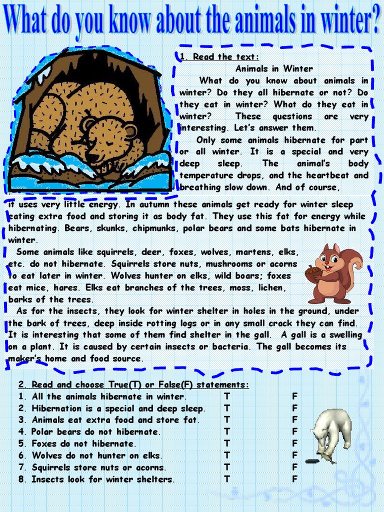 What Do You Know About Animals in Winter | PDF | Bears | Organisms