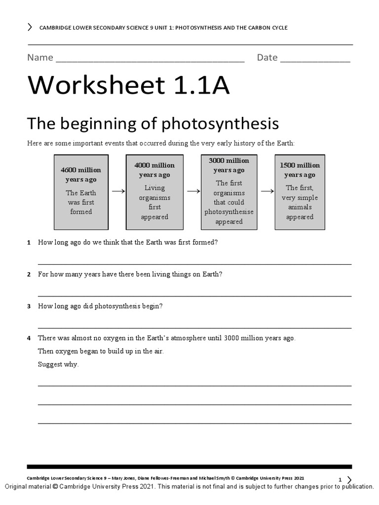 S9 Unit 1 Worksheets | PDF | Carbon Cycle | Photosynthesis