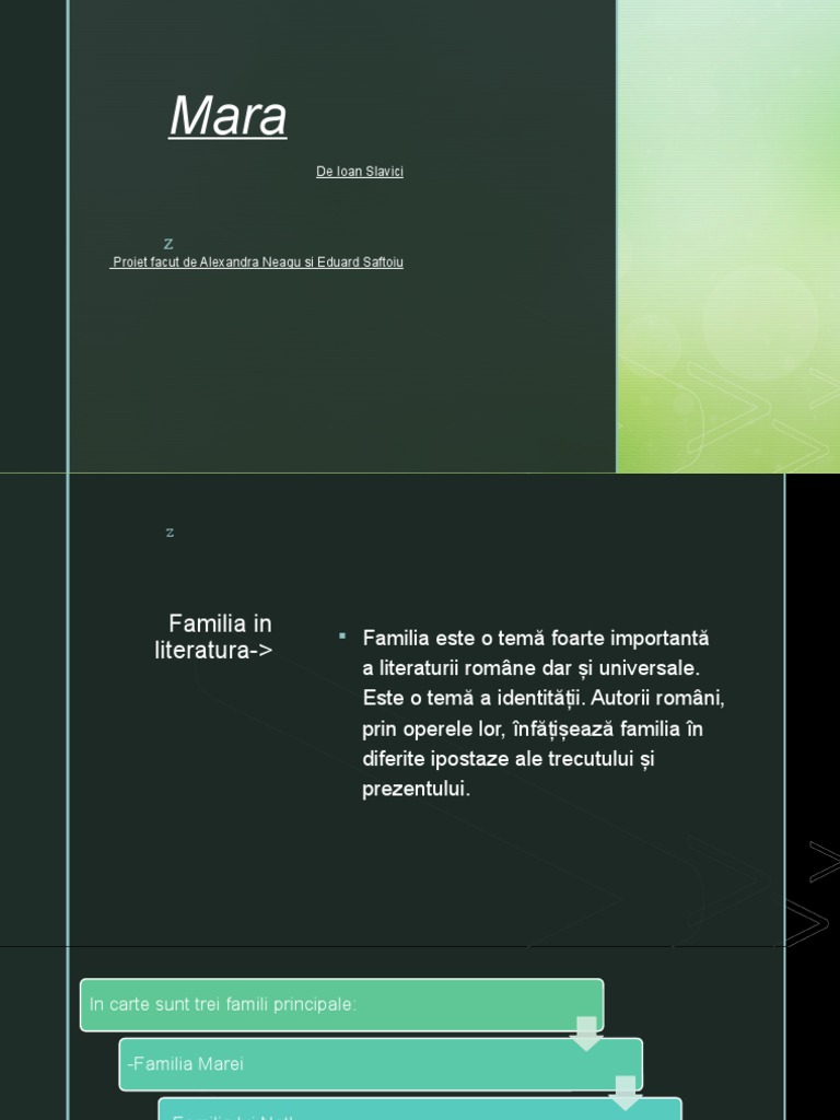 Proiect Romana | PDF