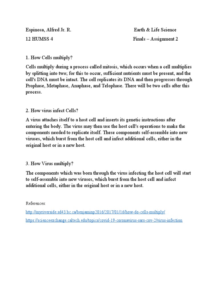 Els Finals Assignment2 Espinosa 12humss4 | PDF