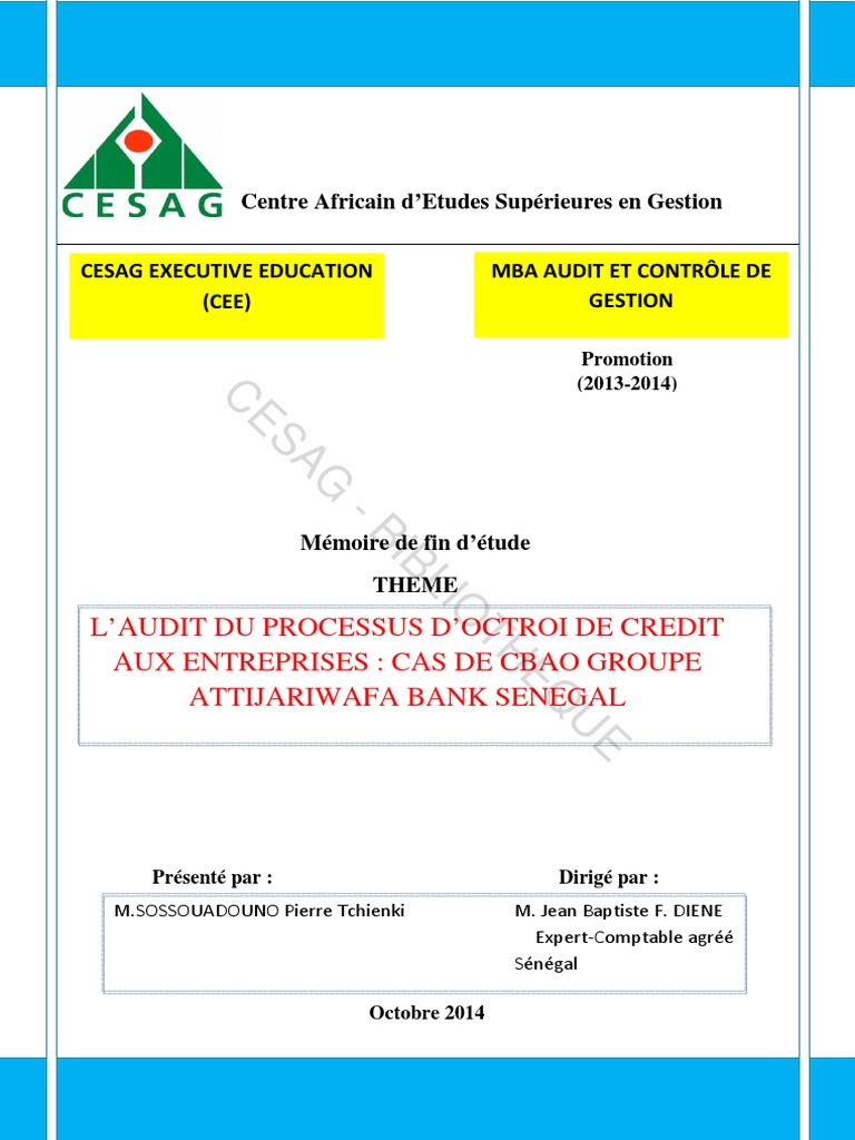Audit du processus d'octroi de crédit | PDF | Banques | Risque