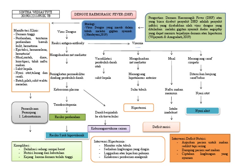 Woc DHF Mapping | PDF