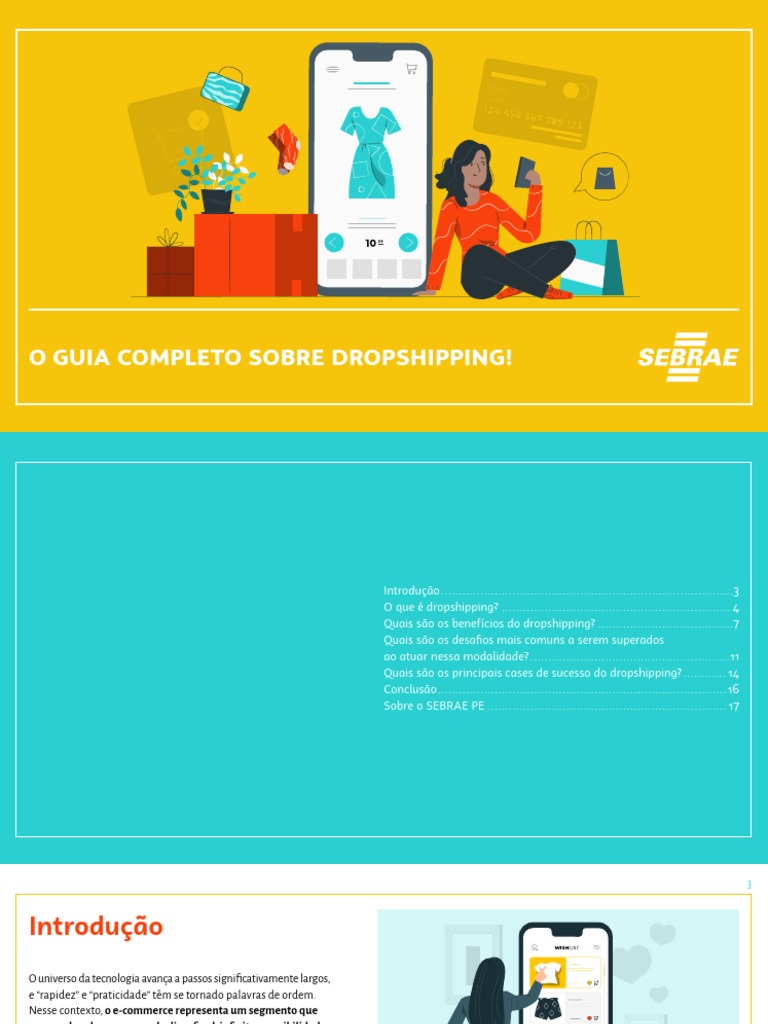 O Guia Completo Sobre Dropshipping | PDF | E-commerce | Empreendedorismo