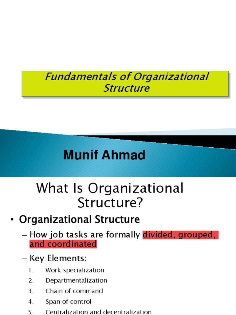 Understanding Organizational Structure Basics | PDF | Organizational ...