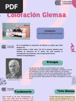 Protocolo de Tinción de Giemsa | PDF | Tinción | Química