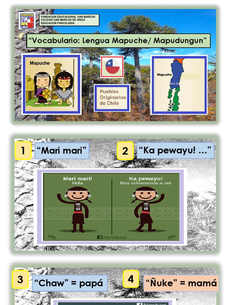 Vocabulario Mapuche (Mapudungun) Sur Chile PDF | PDF