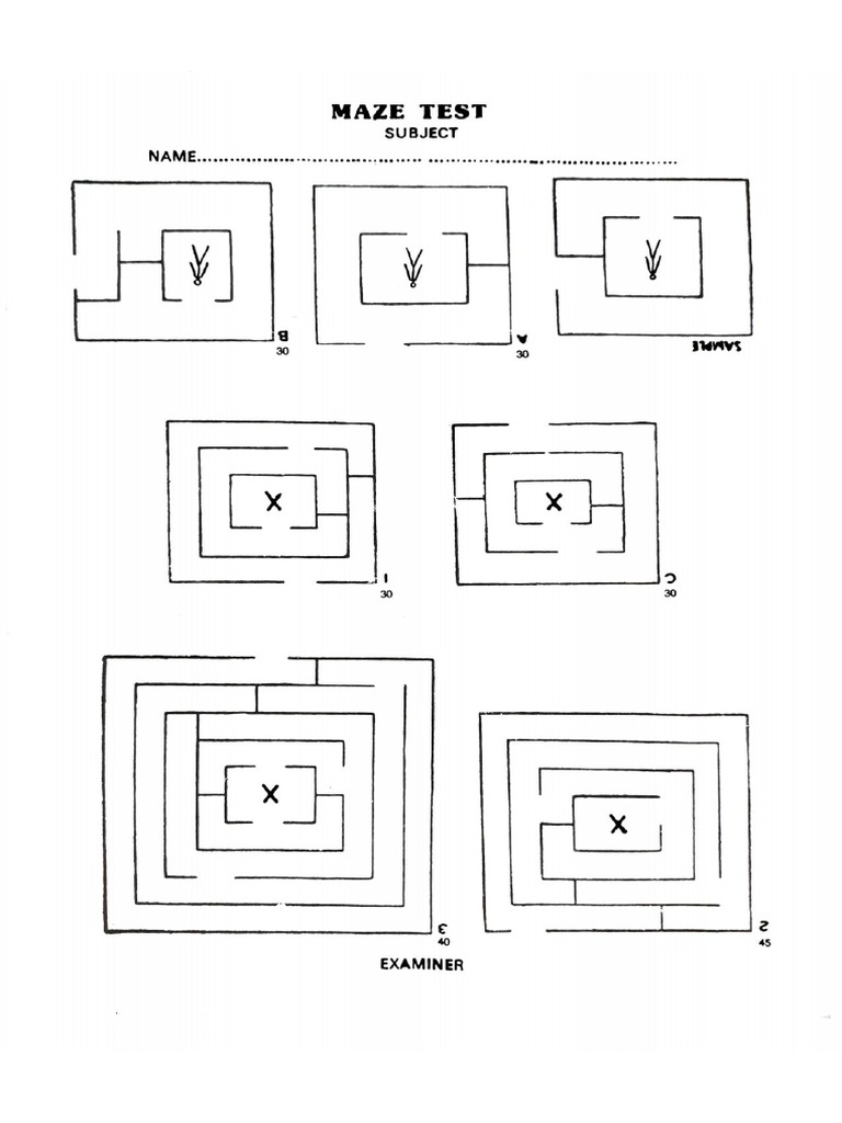 Misic Response Sheet | PDF