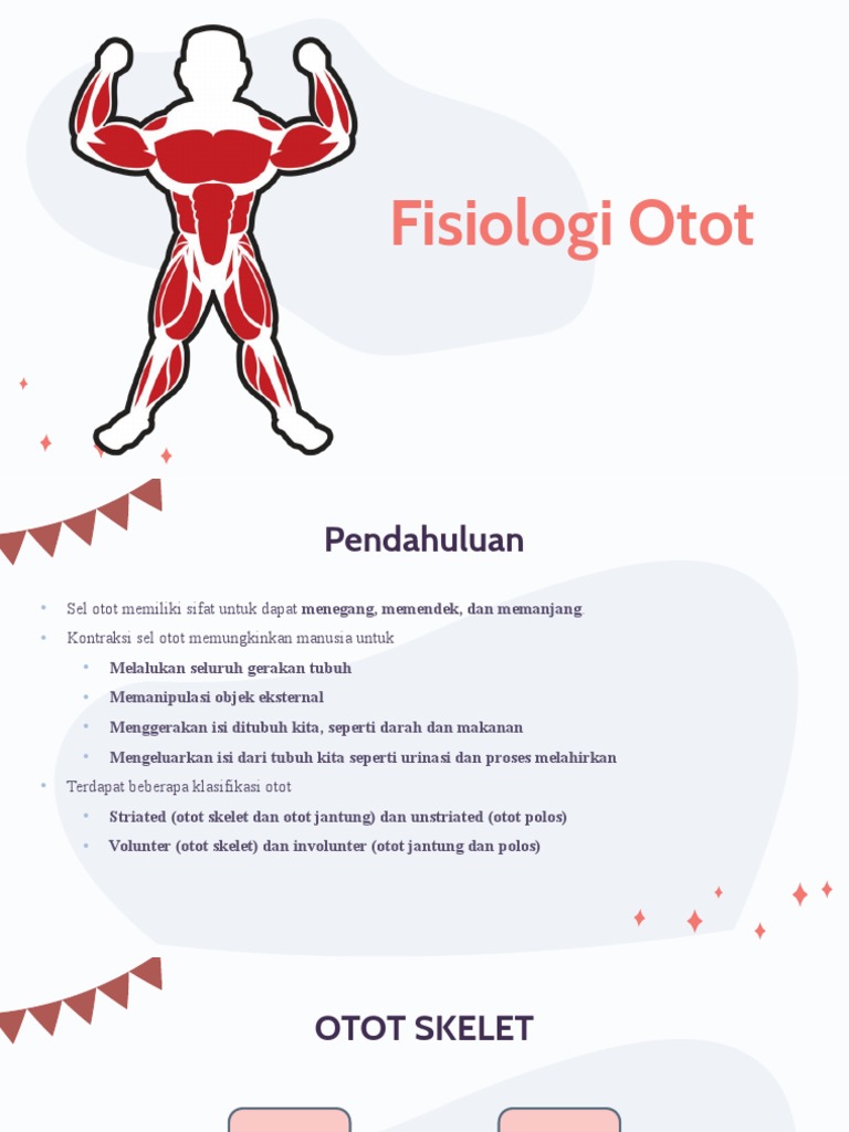 Fisiologi Otot | PDF