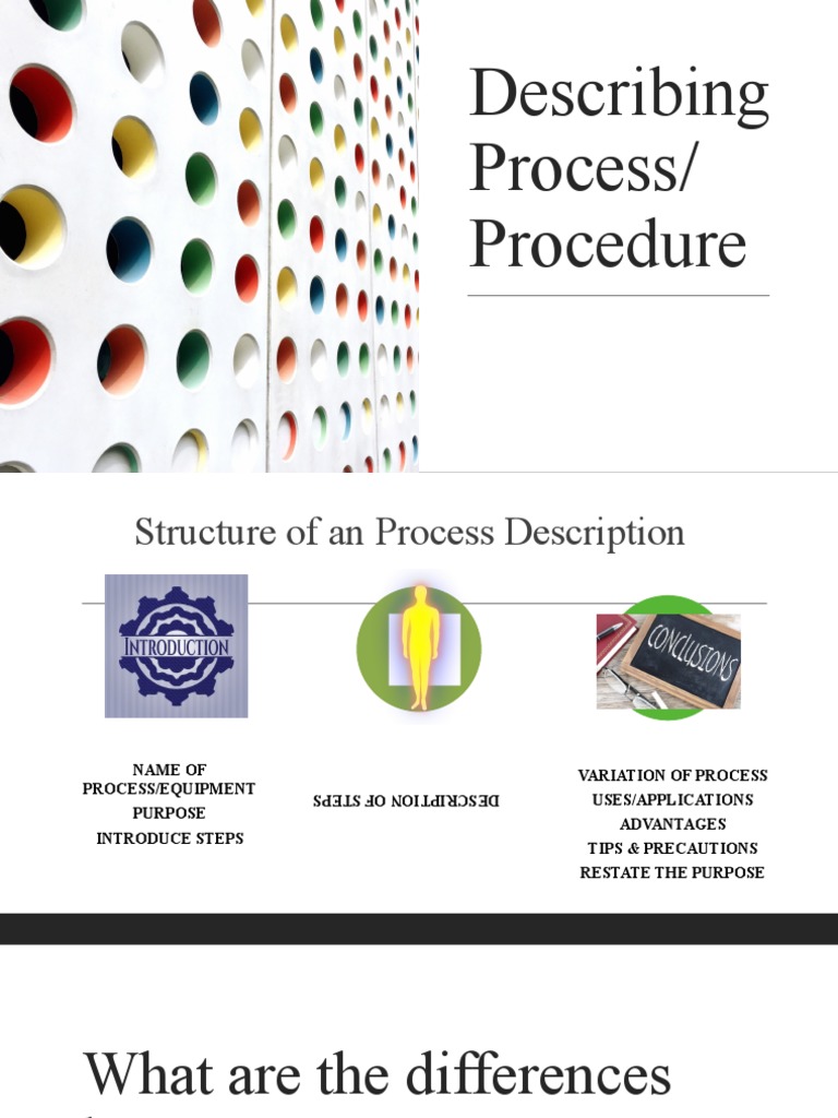 Describing Process | PDF