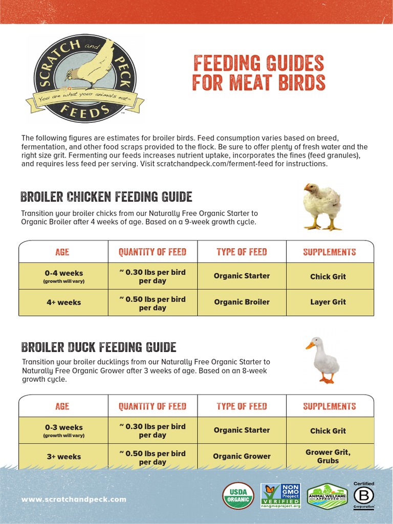 Broiler Bird Feeding Guide | PDF