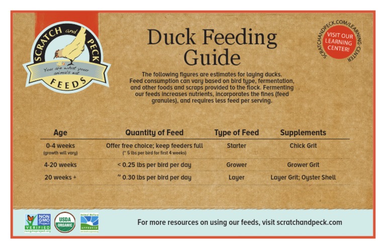 Scratch and Peck Feed Duck Feeding Guide November 2016 | PDF