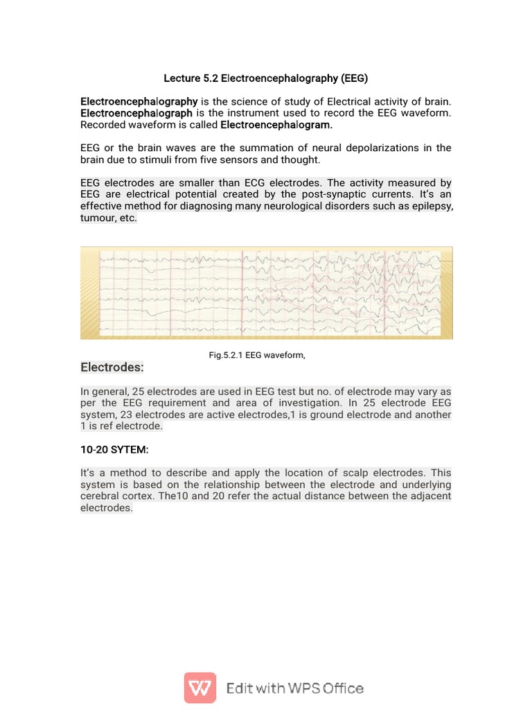 Lecture 3.1 - EEG | Download Free PDF | Electroencephalography | Neurology