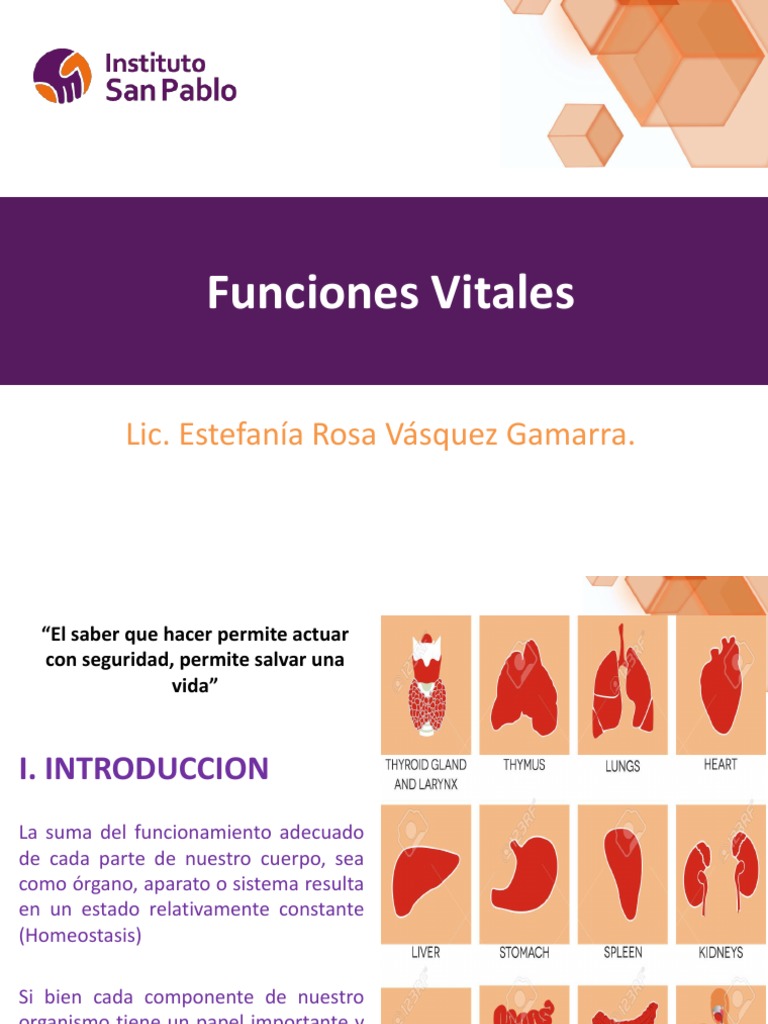 Clase 3 - Funciones Vitales | PDF Clase 3 - Funciones Vitales | PDF