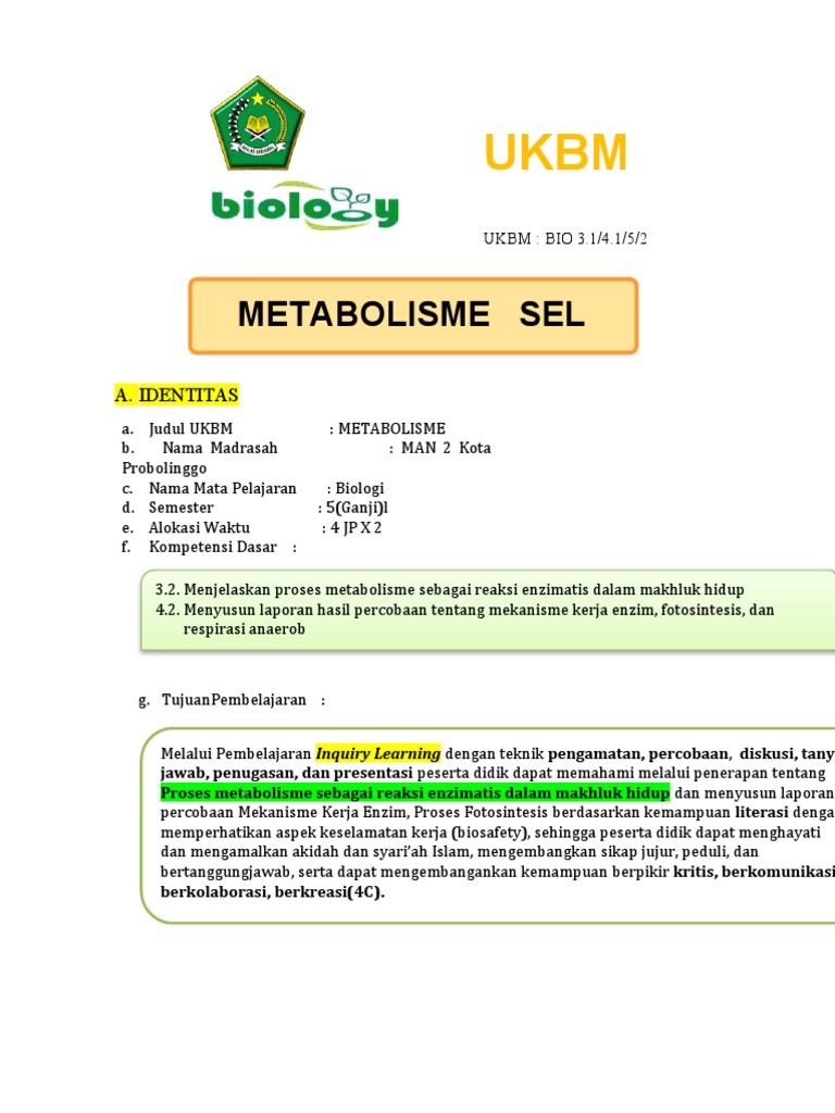 Metabolisme Sel | PDF