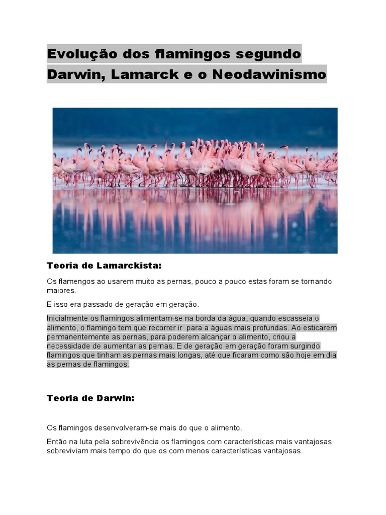Trabalho Dos Flamingos | PDF