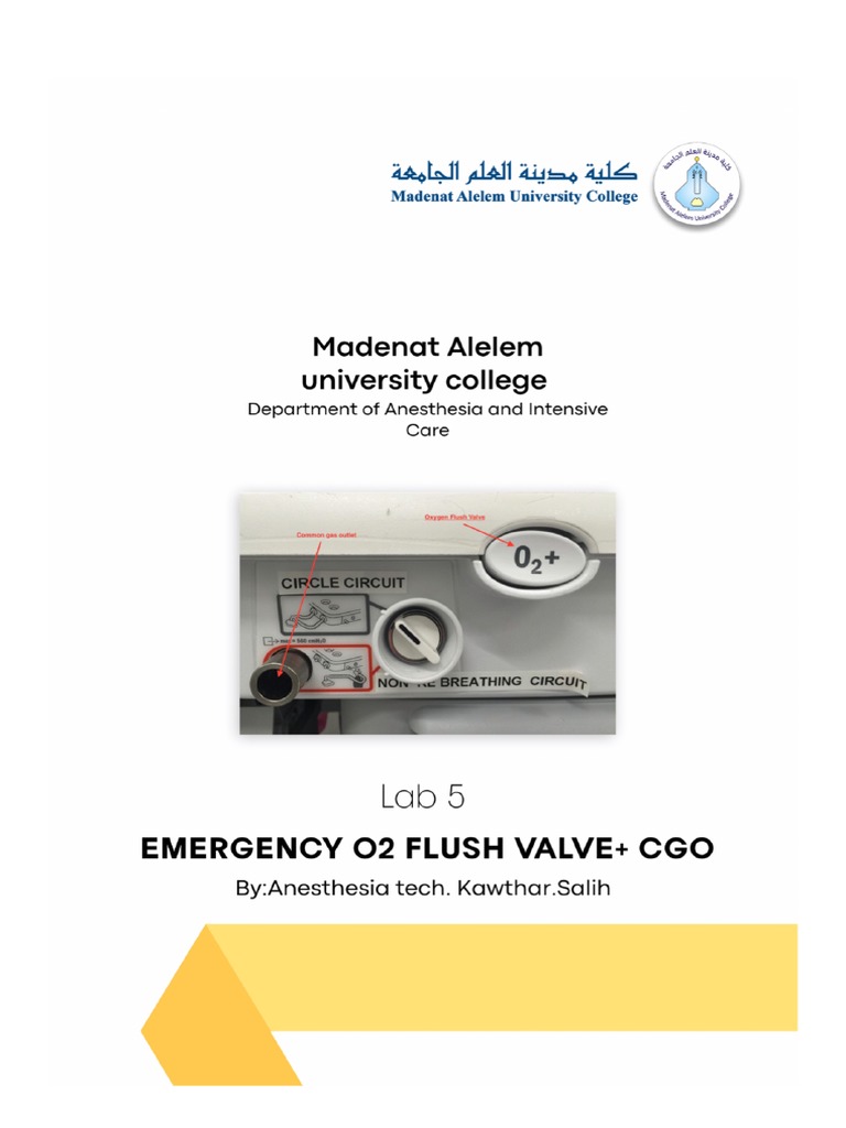 Emergency oxygen flush bypass | PDF