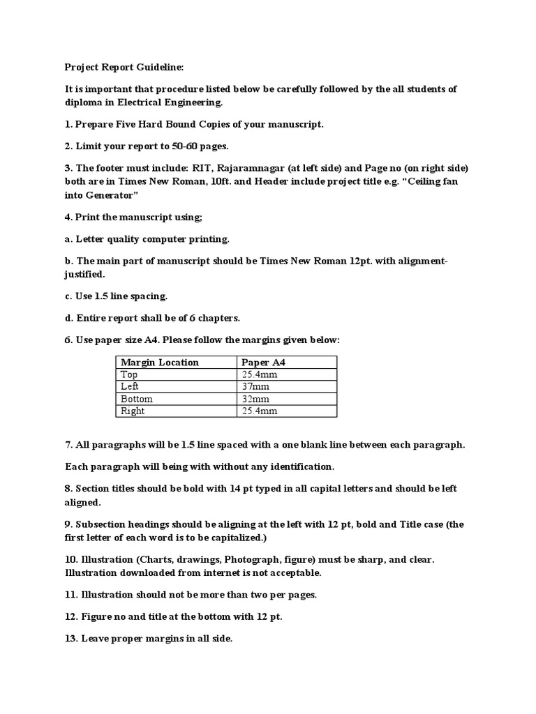 Project Execution Report Guideline | PDF