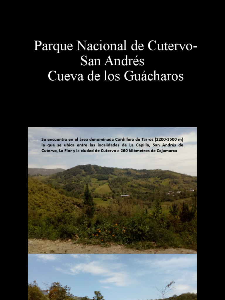 Parque Nacional de Cutervo - San Andrés | PDF