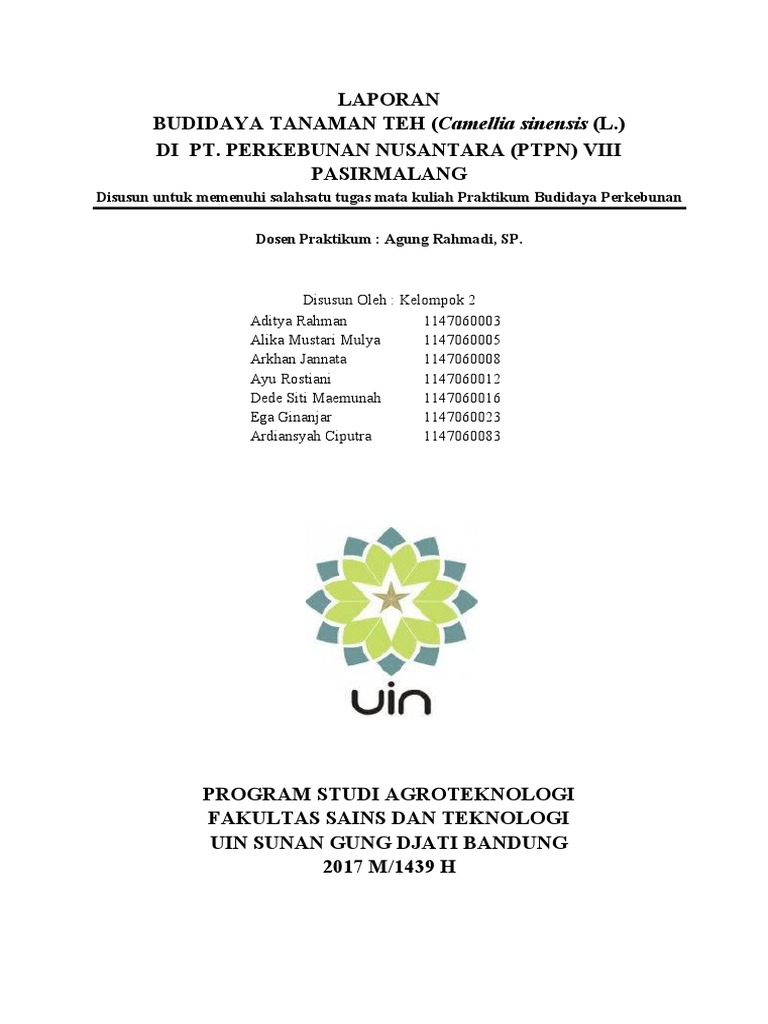 Laporan BUDIDAYA TANAMAN TEH (Camellia Sinensis (L.) Di Pt. Perkebunan ...