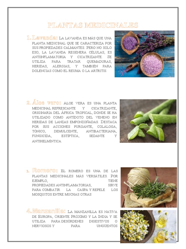 Plantas Medicinale1 | PDF | Hierbas Medicinales Y Hongos | Plantas medicinales