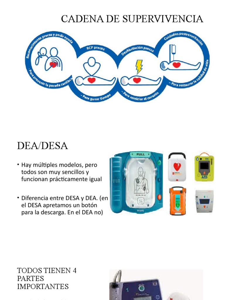 Power Point Dea | PDF