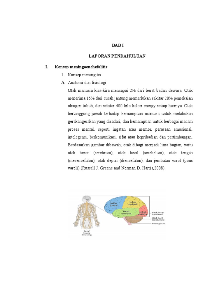 LP Meningitis | PDF