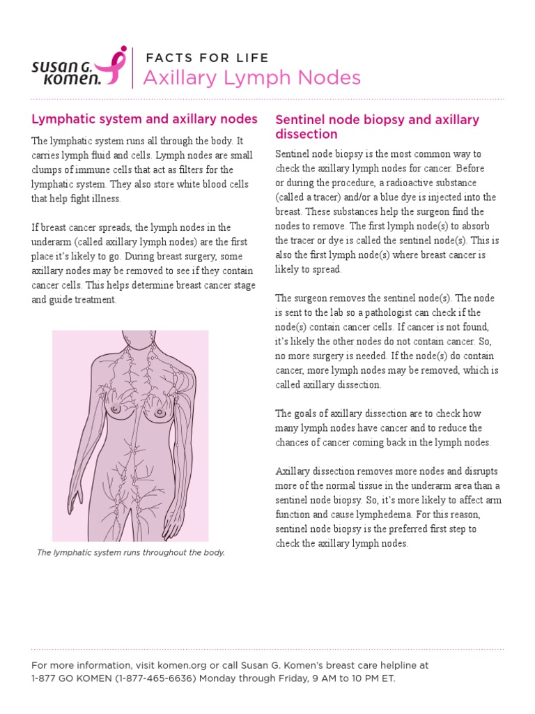 Axillary Lymph Nodes | PDF | Lymphatic System | Lymph Node