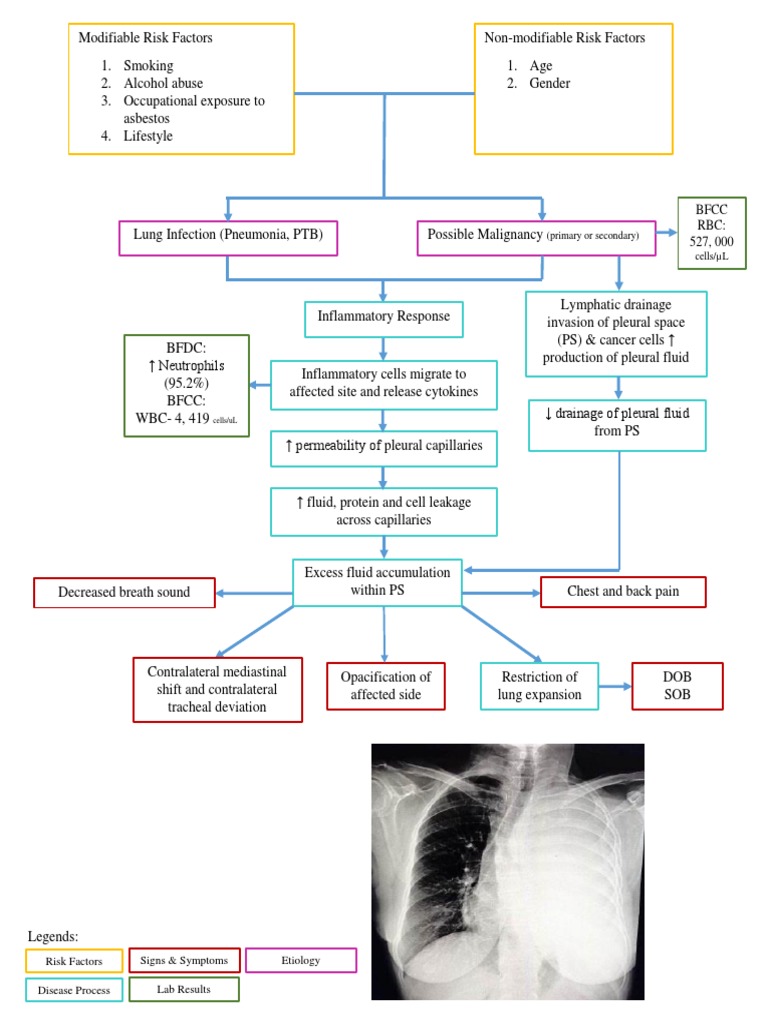 Pleural Effusion Patophysiology | PDF | Immunology | Medical Specialties