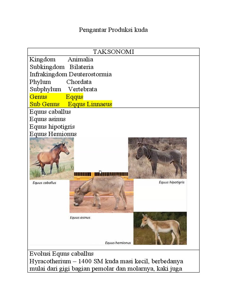 Taksonomi dan Evolusi Kuda Modern | PDF | Griya & Taman